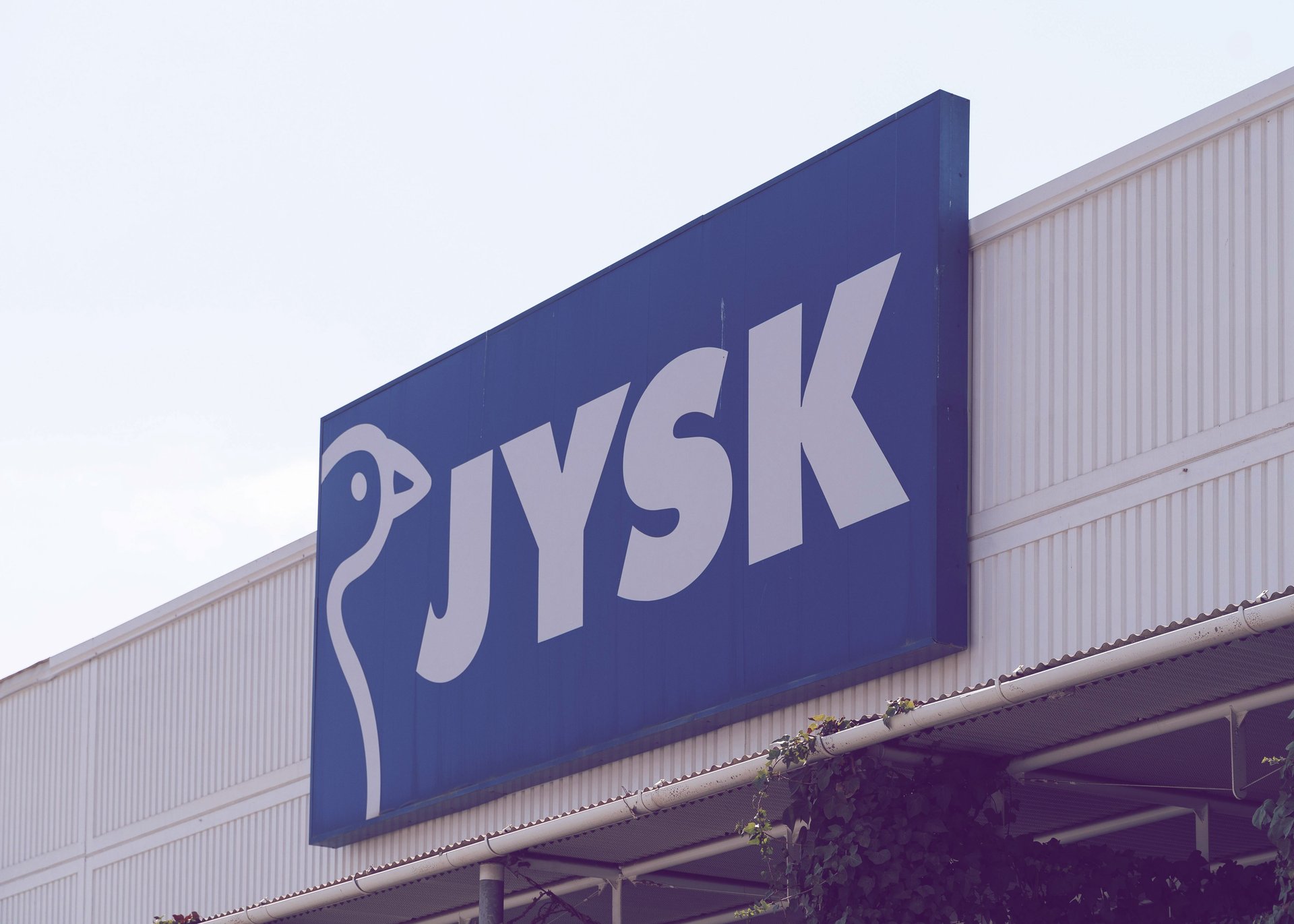 Preiswert und luxuriöus: Diese Jysk‑Vase sieht aus wie ein Designer Piece
