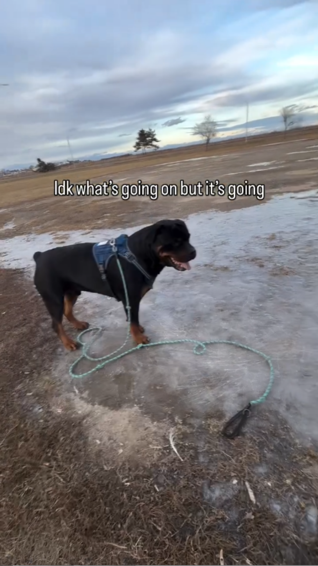 When you’re lost but things are surprisingly going well