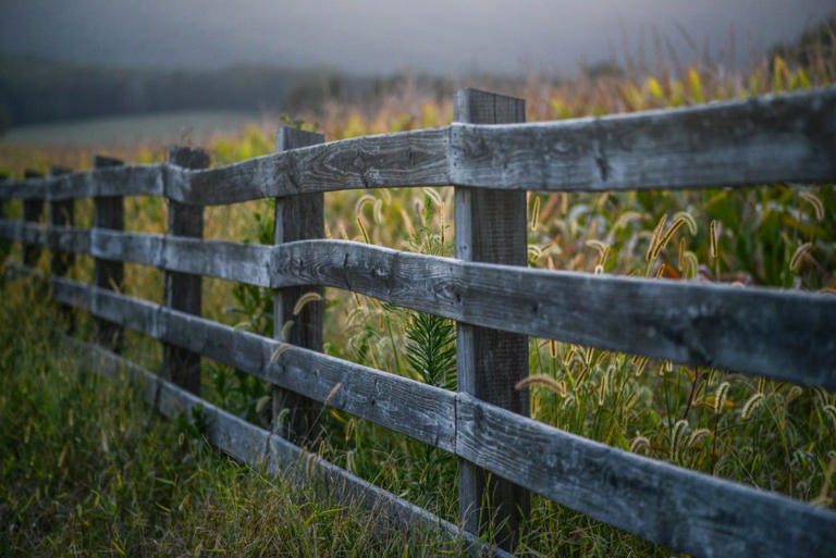 Silent signs your fence has a serious problem