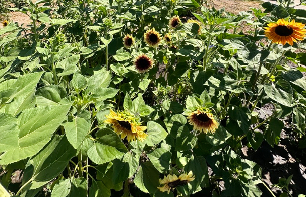 Your morning: What’s next for Venezuela?