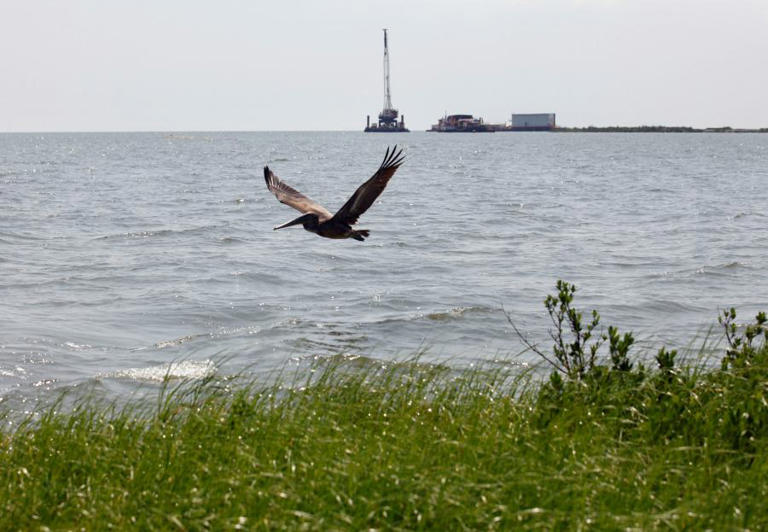 Record $9.6 million fine for Third Coast after substantial oil spill in ...