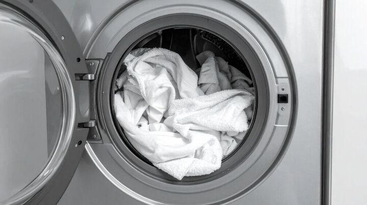 5 household items that could be triggering your pet’s allergies