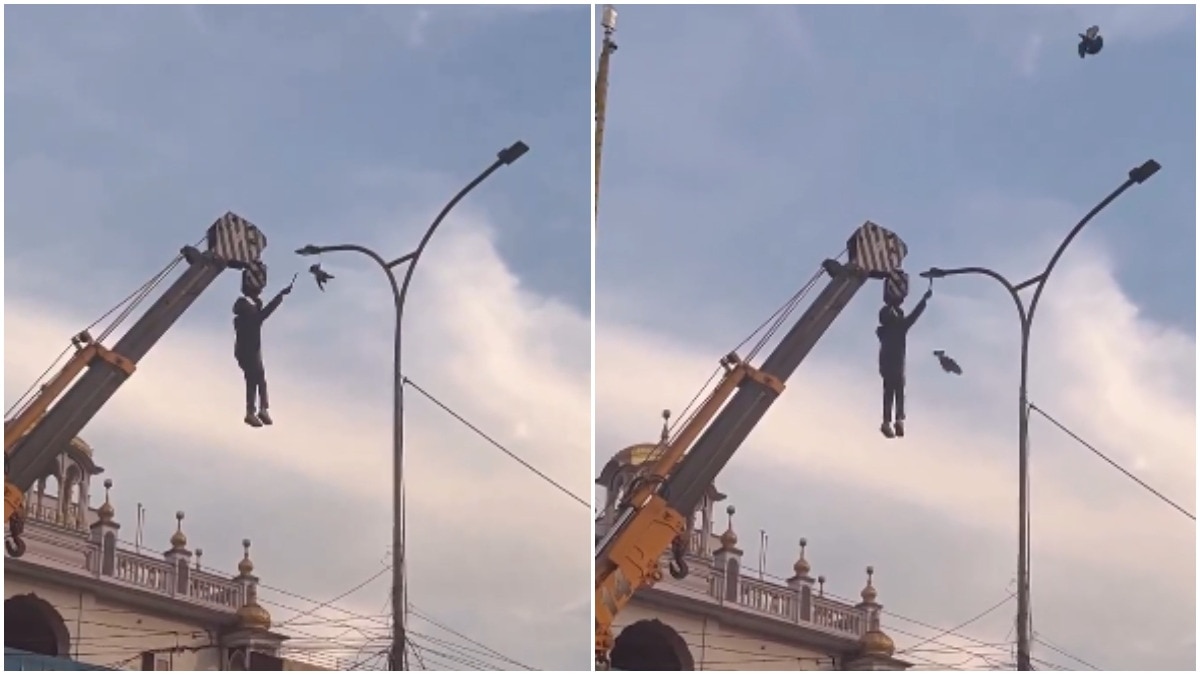 Man risks his life, dangles from crane to rescue bird stuck in high wires