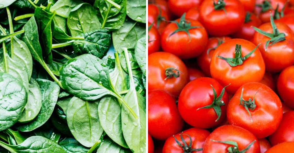18 essential vegetables for daily consumption