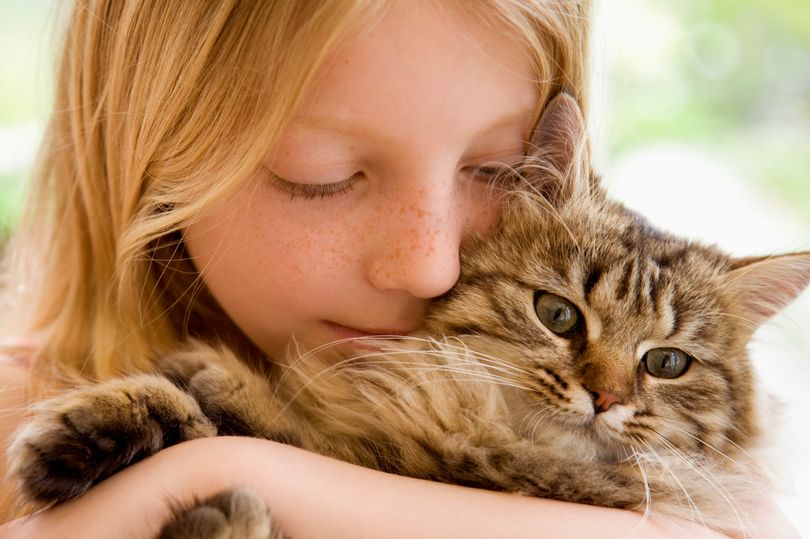 Animal charity urges cat owners to try to prevent 'widespread health issue'