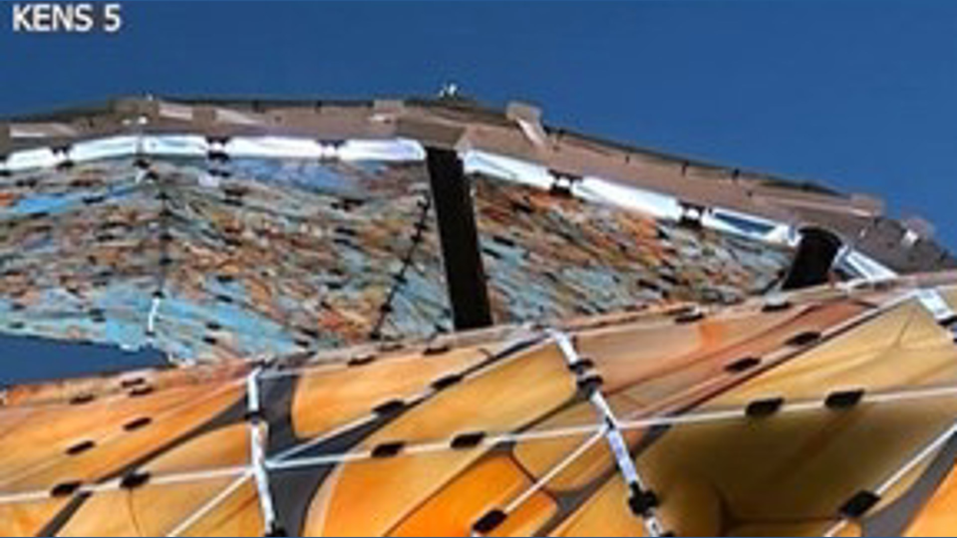 Monarch butterfly art installation