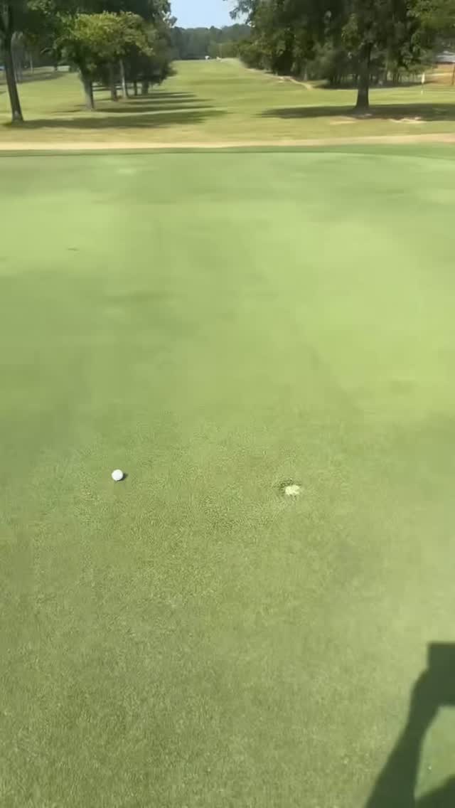When a dog has a smoother putting stroke than you