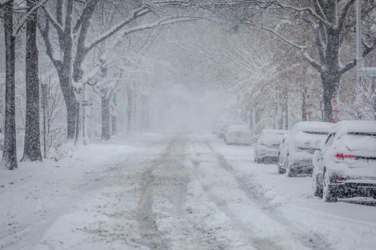 « Une bascule météorologique radicale » : la neige en plaine, ça ...