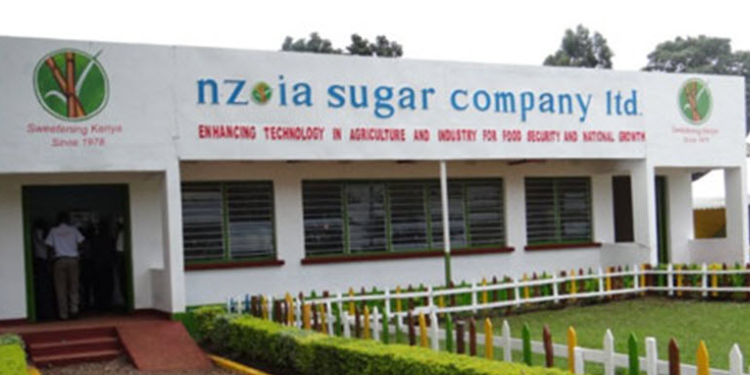 Nzoia Sugar makes major comeback, hits full 3,000-tonne daily production
