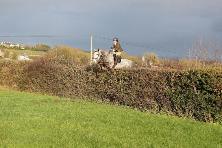 Horse Week: New Year’s Day with Holestone Farmers Bloodhounds