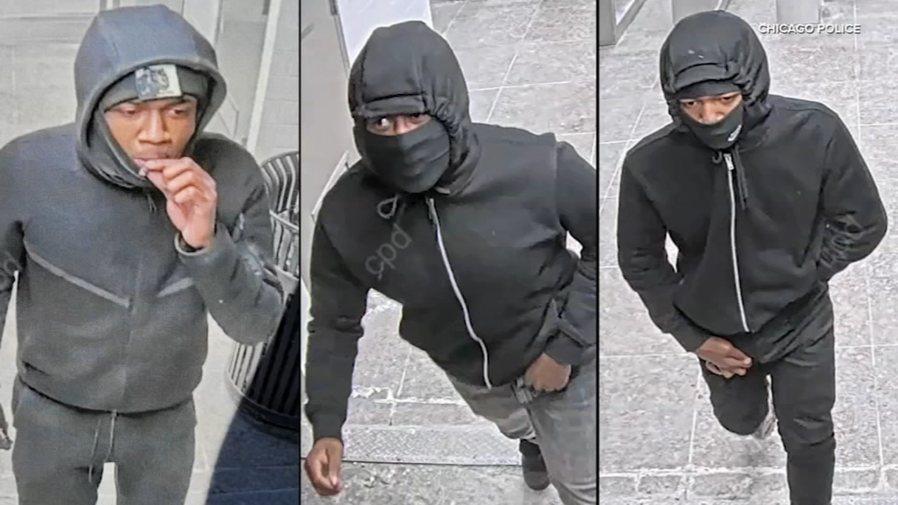 Chicago police release images of suspects in armed robbery on CTA Blue ...