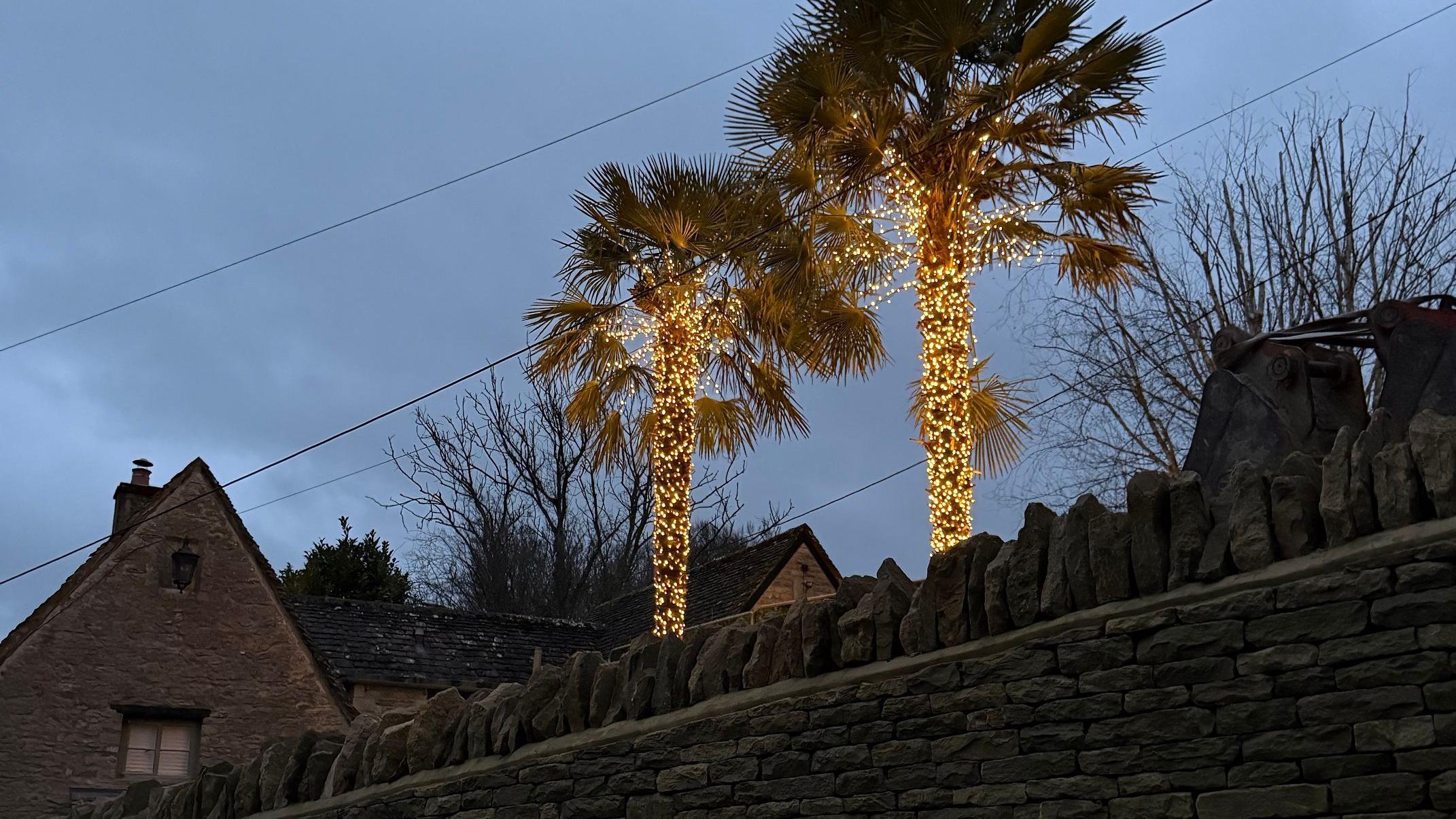 Awkward Hill Neighbours Row Over Palm Trees