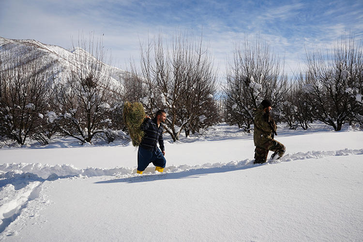 Kar kalınlığının yer yer 2 metreyi aştığı Hakkari'de besiciler zorlu ...