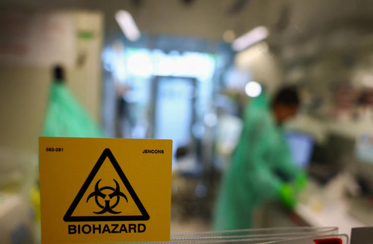 Israel reports first bird flu outbreak in a year after disease detected ...
