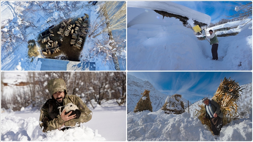 Kar kalınlığının yer yer 2 metreyi aştığı Hakkari'de besiciler zorlu ...