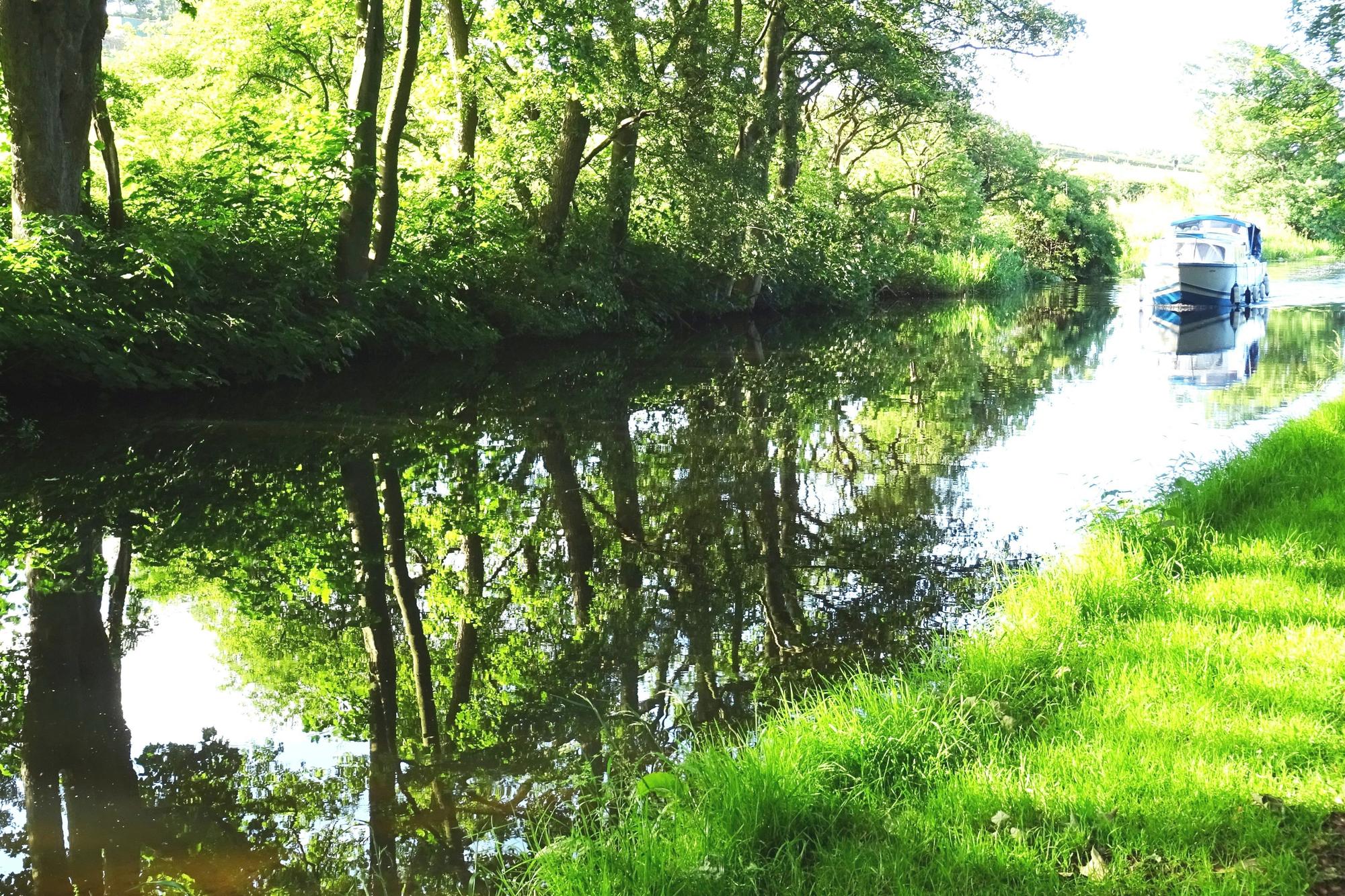 Firefighters rush to the rescue of three horses trapped in icy water at ...