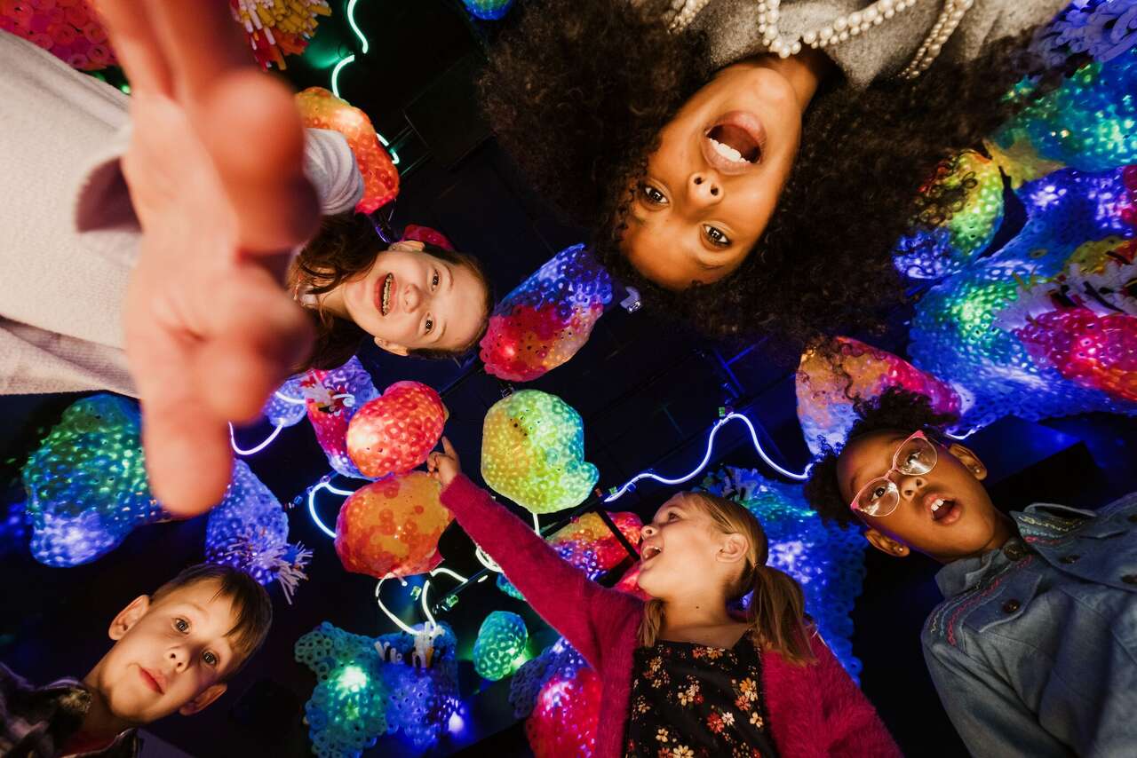 Meow Wolf Houston joins Museums for All, offering $5 admission to SNAP ...