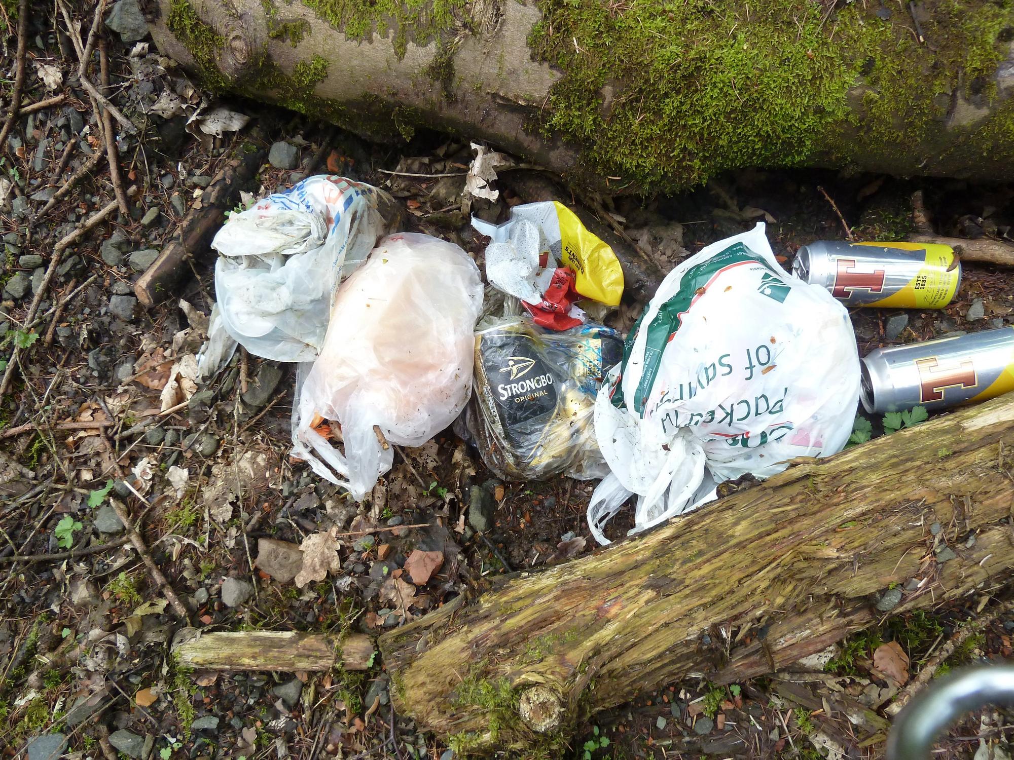 Spring into action: Charity looks for volunteer litter pickers to clean ...