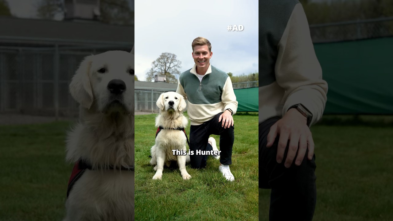 The importance of PTSD service dogs