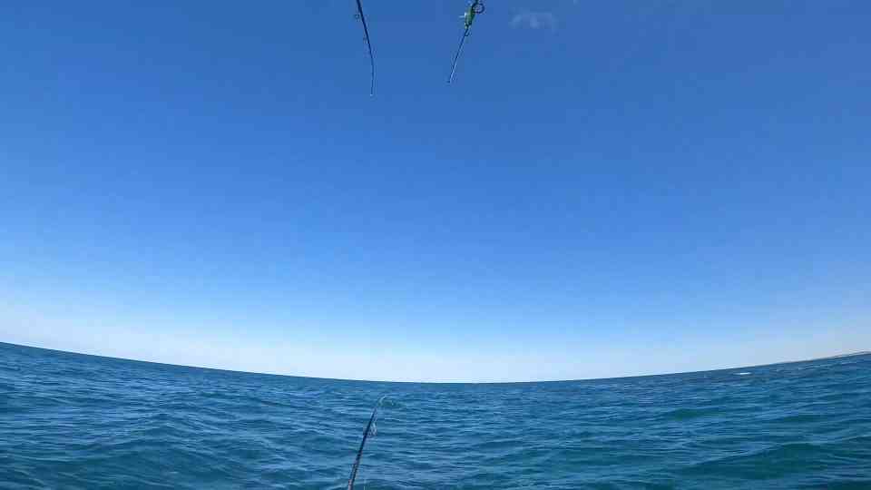 Fishing tips for kingfish