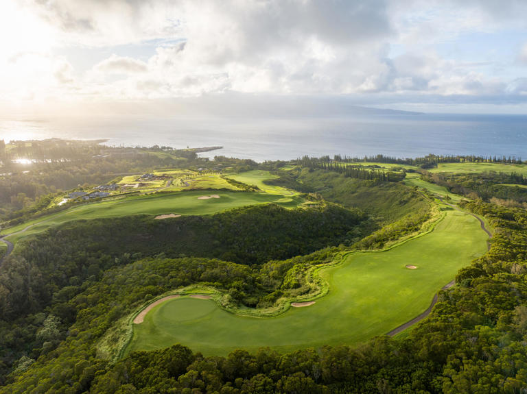 No PGA Tour but Kapalua's Plantation Course is green, welcoming golfers