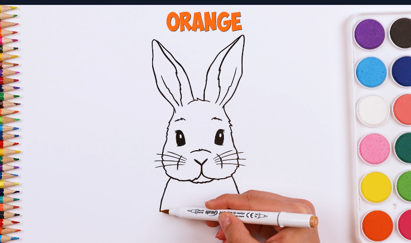 Learning colors with fun drawings! 🌈🎨