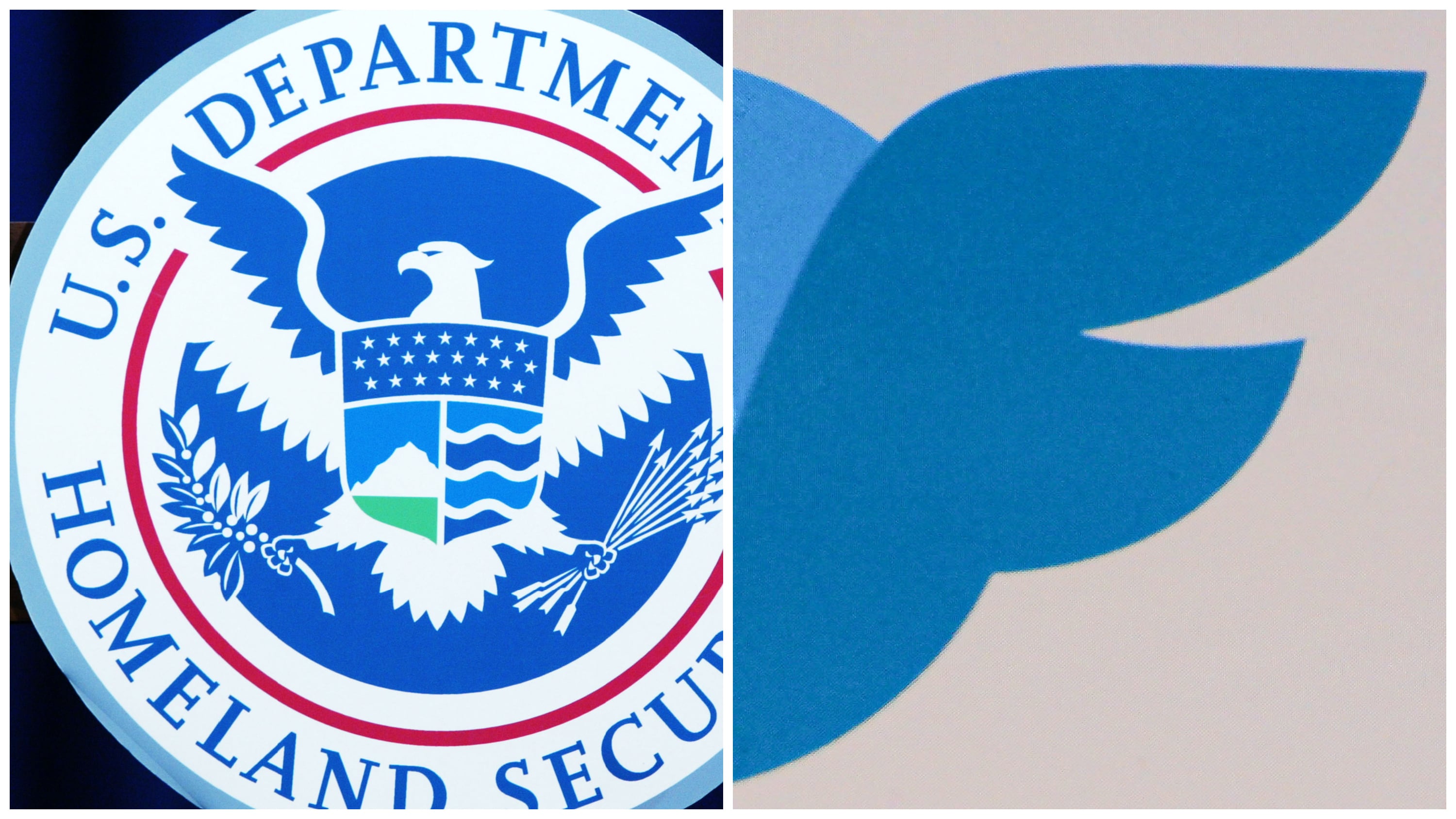 Extraordinary talent visas for OnlyFans stars are skyrocketing