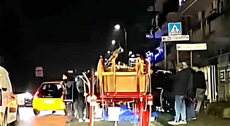 Cavallo muore durante la Cavalcata dei Re Magi, polemiche a Nocera ...