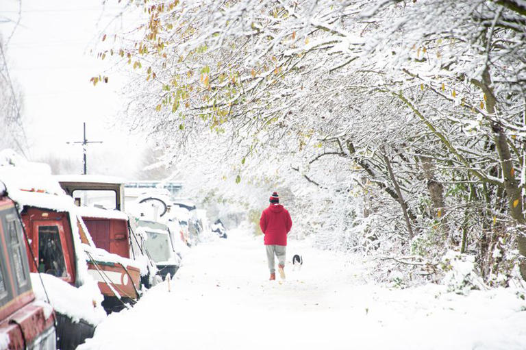 Dog's Trust issues plea to 10 million people this week as it says ...