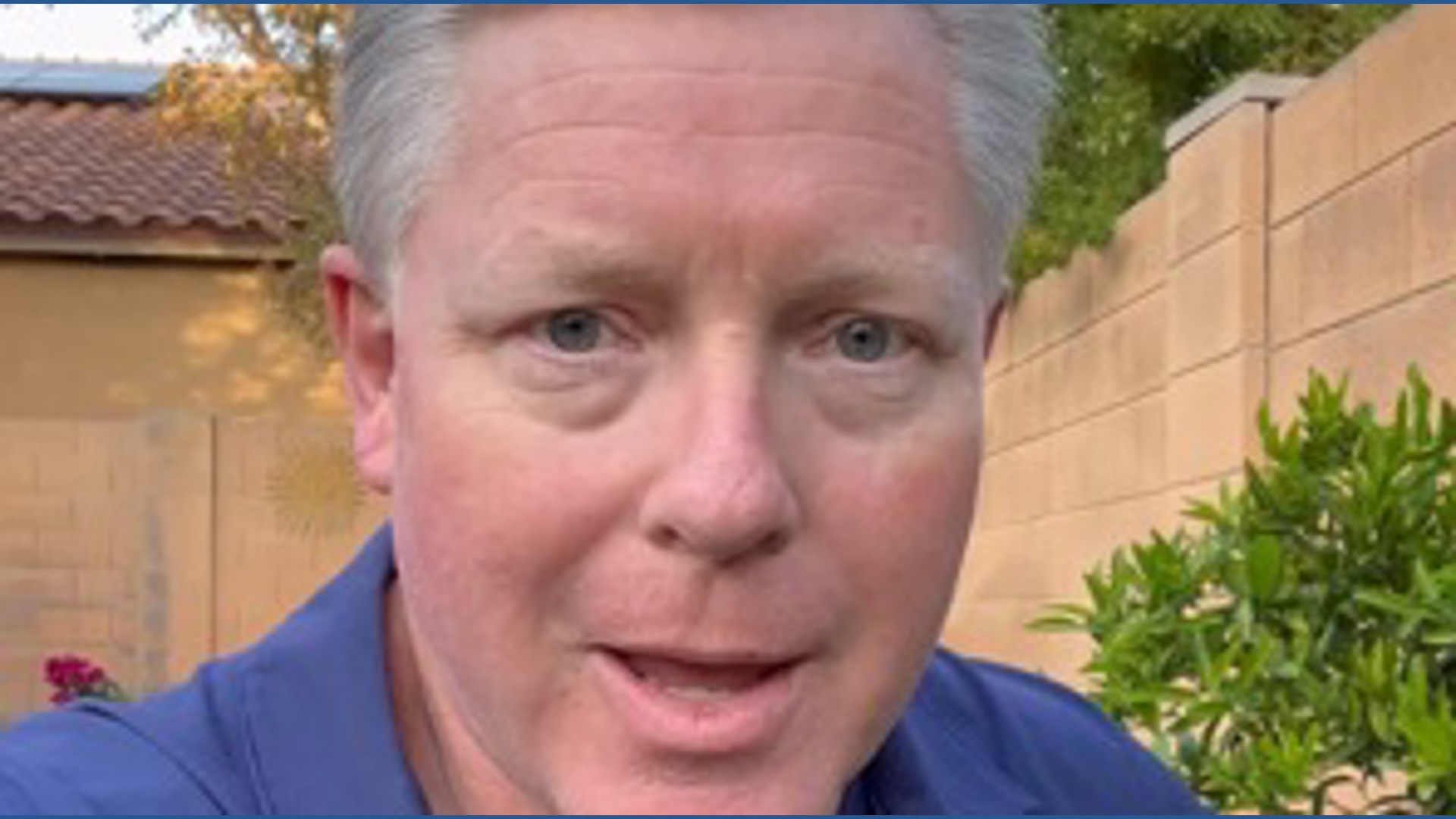 January garden update