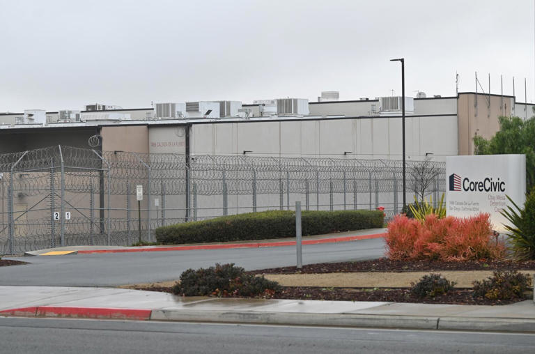 Contributor: Deaths of Asian immigrants in ICE custody reveal a ...