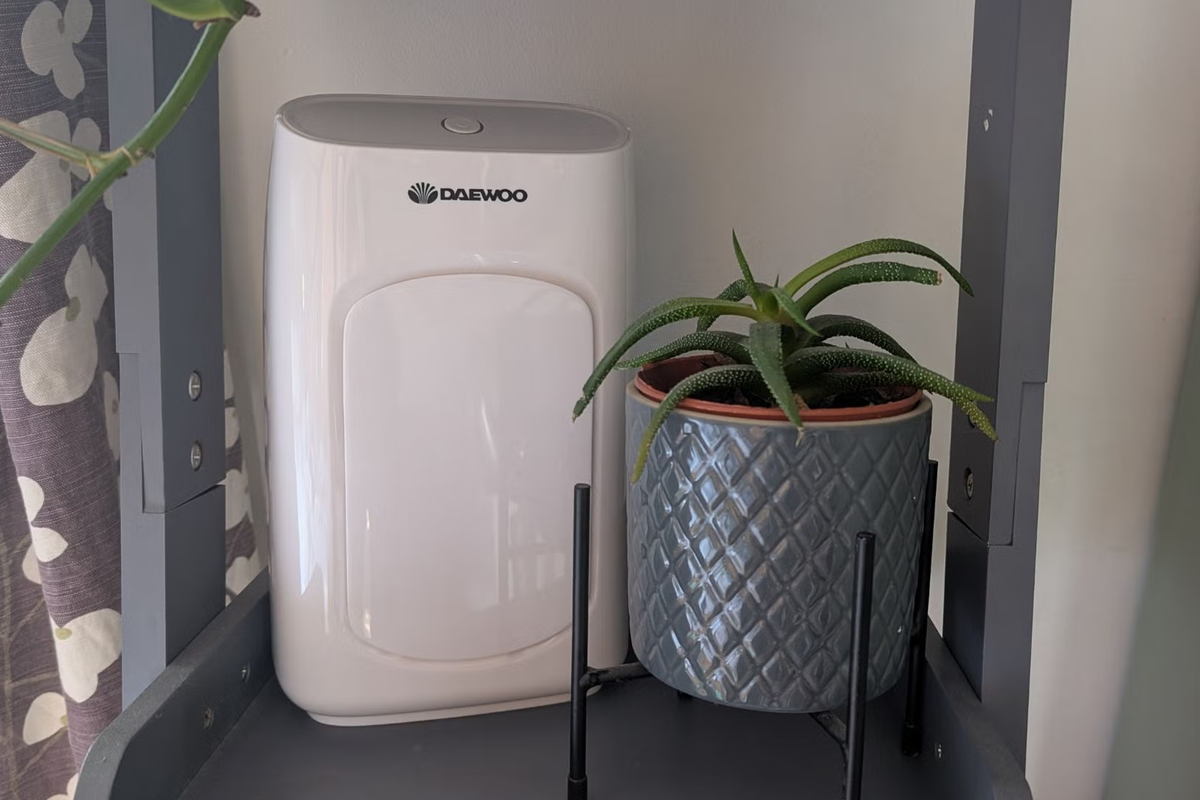The £35 dehumidifier that tackles damp and mould for those on a budget