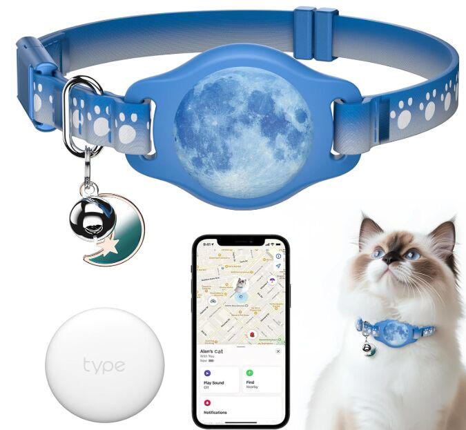 Do this to keep your outdoor cat safe