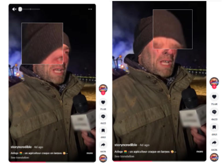 Videa plačících francouzských farmářů jsou dílem umělé inteligence