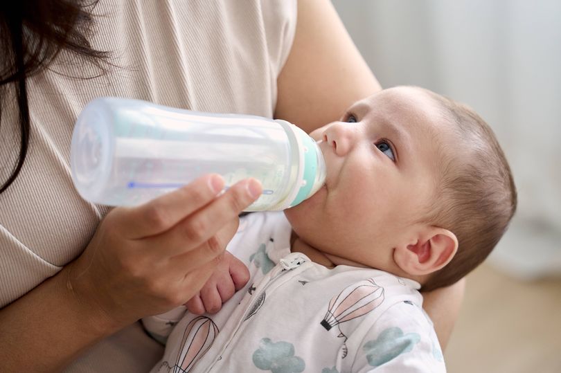 What is cereulide the food poisoning toxin linked to recent baby ...