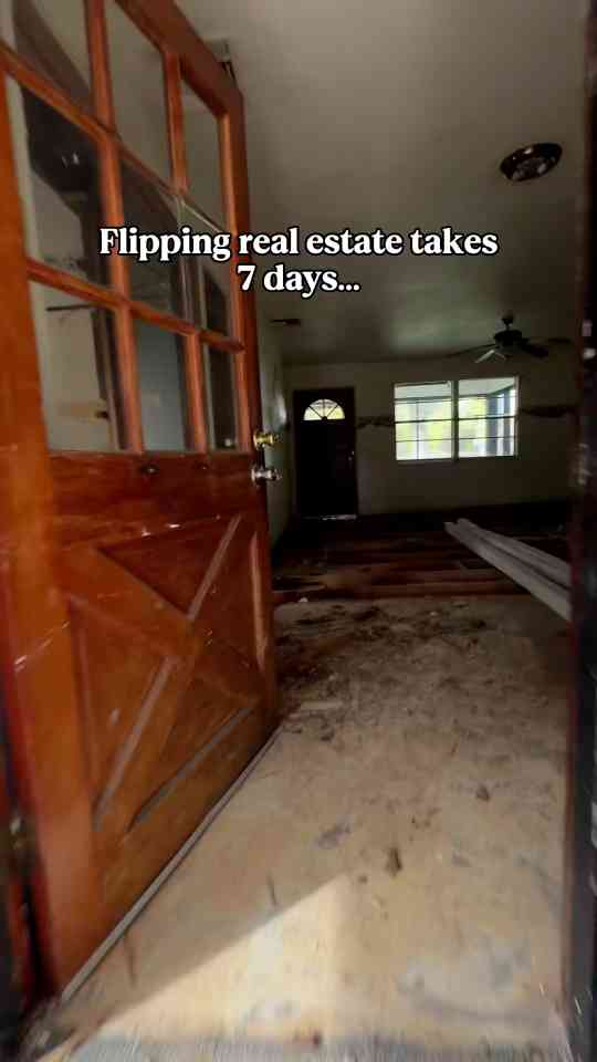 The learning curve of auction flipping