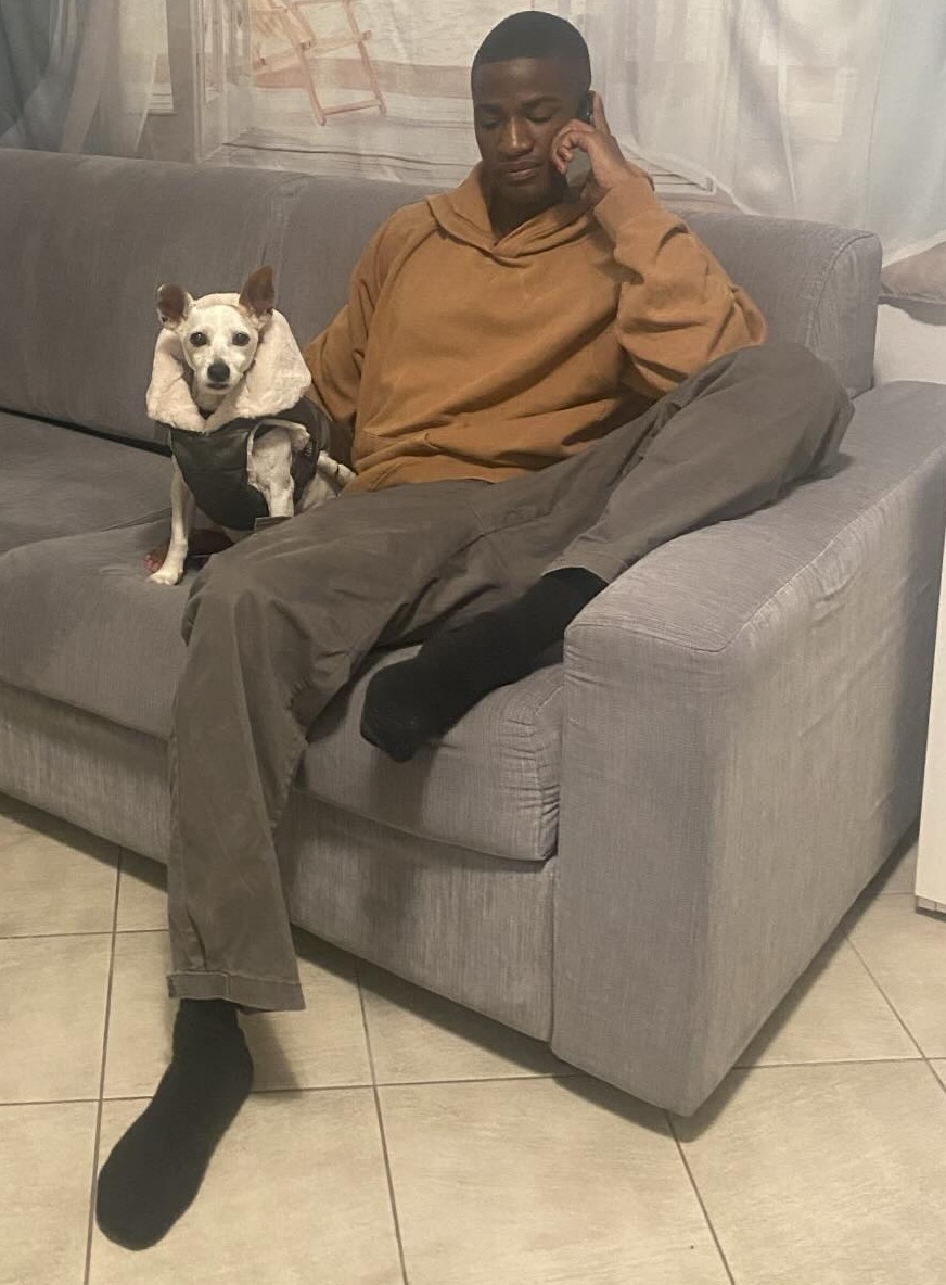 Dogs — once abandoned, now pampered — go viral after man shares rescue ...