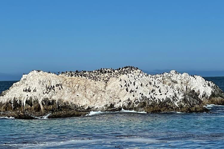 Pebble Beach’s 17-mile coastal drive delivers jaw-dropping Pacific views