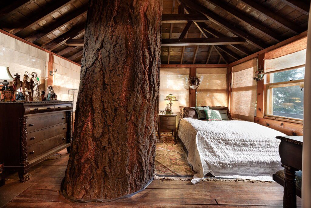 Two-bedroom tree house is on the market for $329,000
