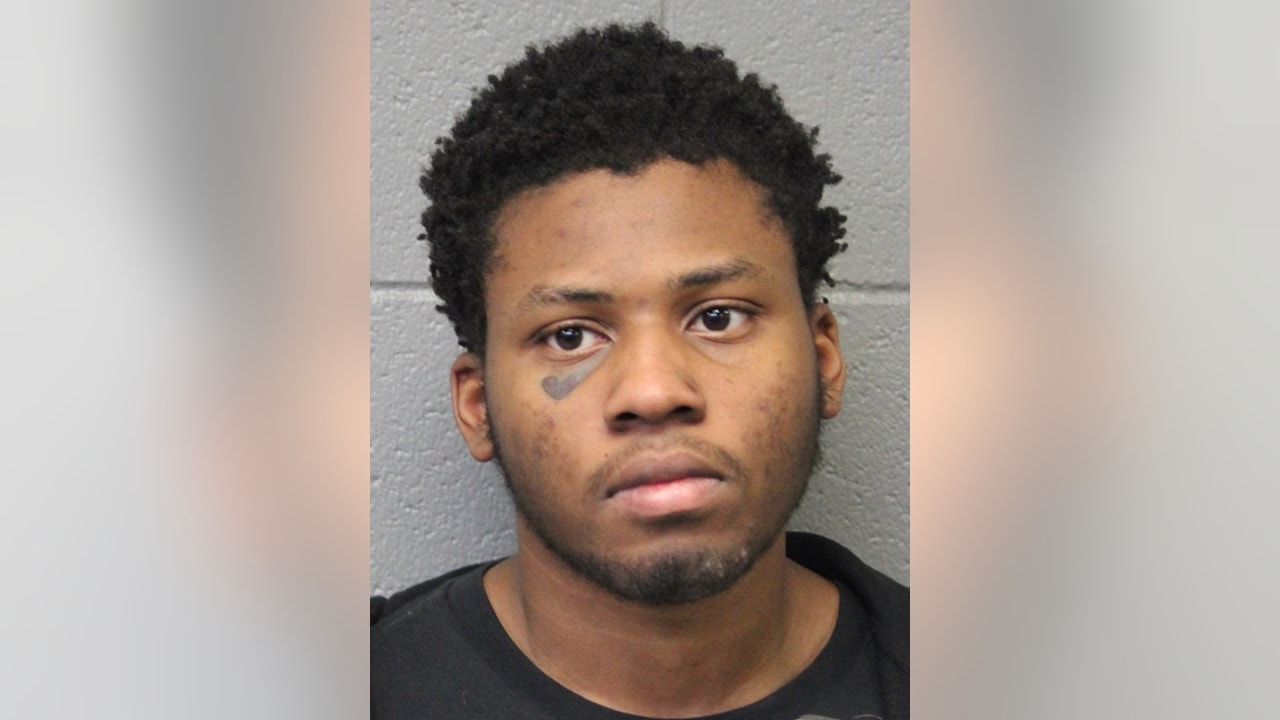Chicago man charged months after Red Line robbery, police say