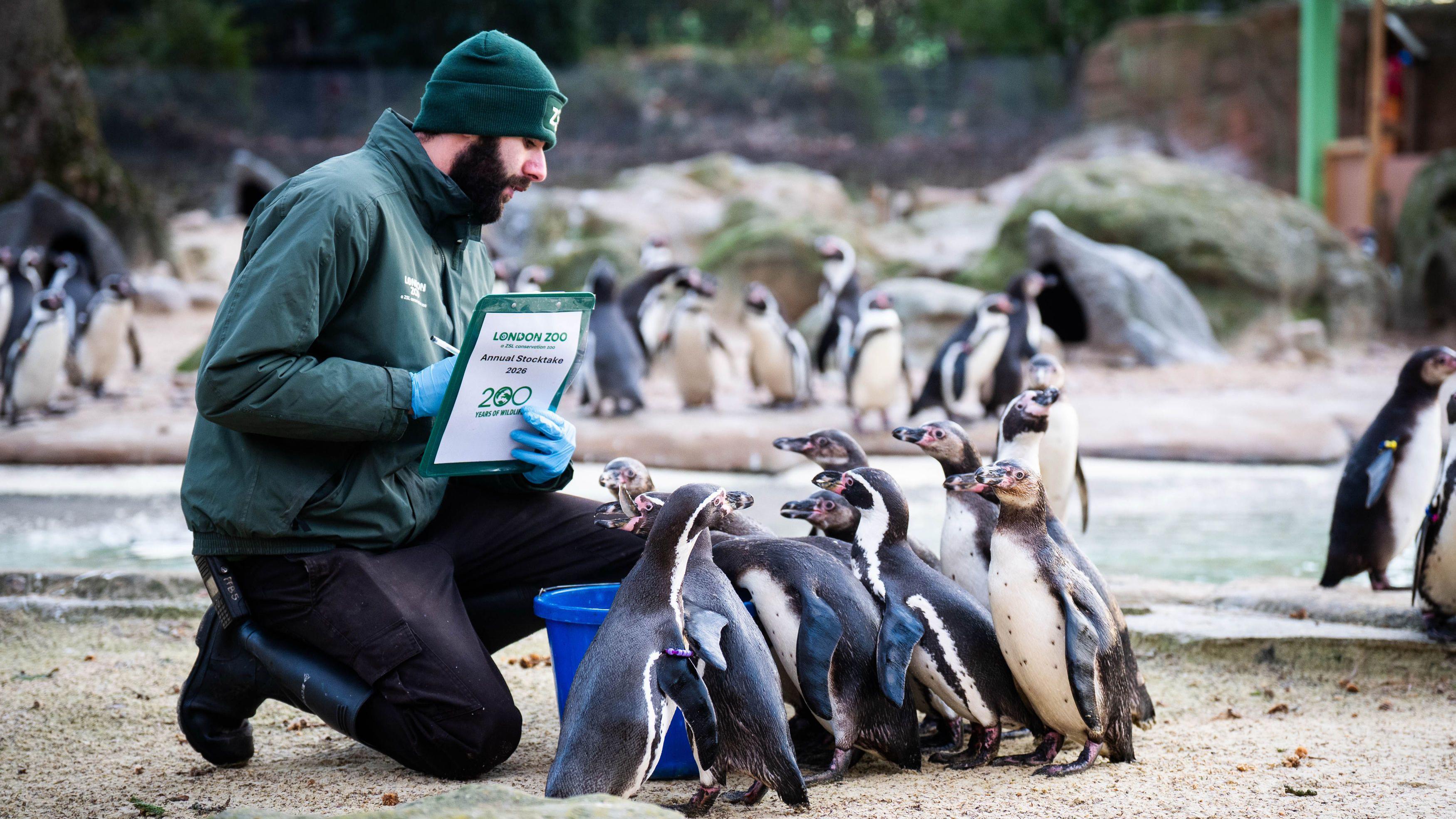 London Zoo's animal count begins as ZSL turns 200