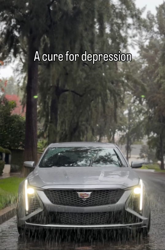 V8 power and manual control: A perfect combo