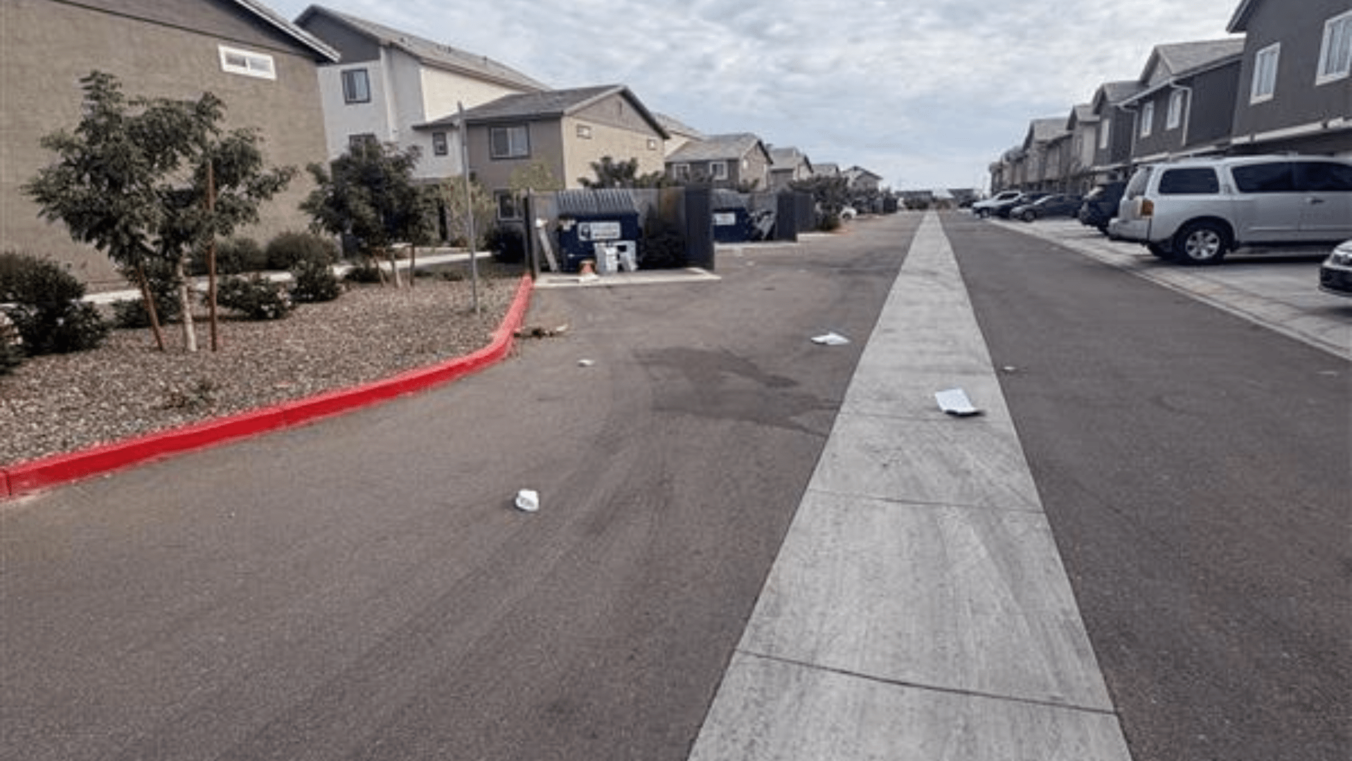 Arizona mom hit with $150 fine over runaway paper bag