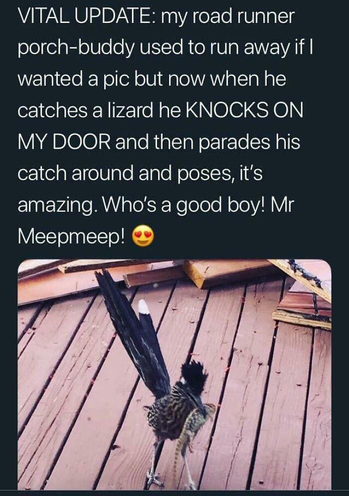 42 times people found something unbearably wholesome and shared it in ...