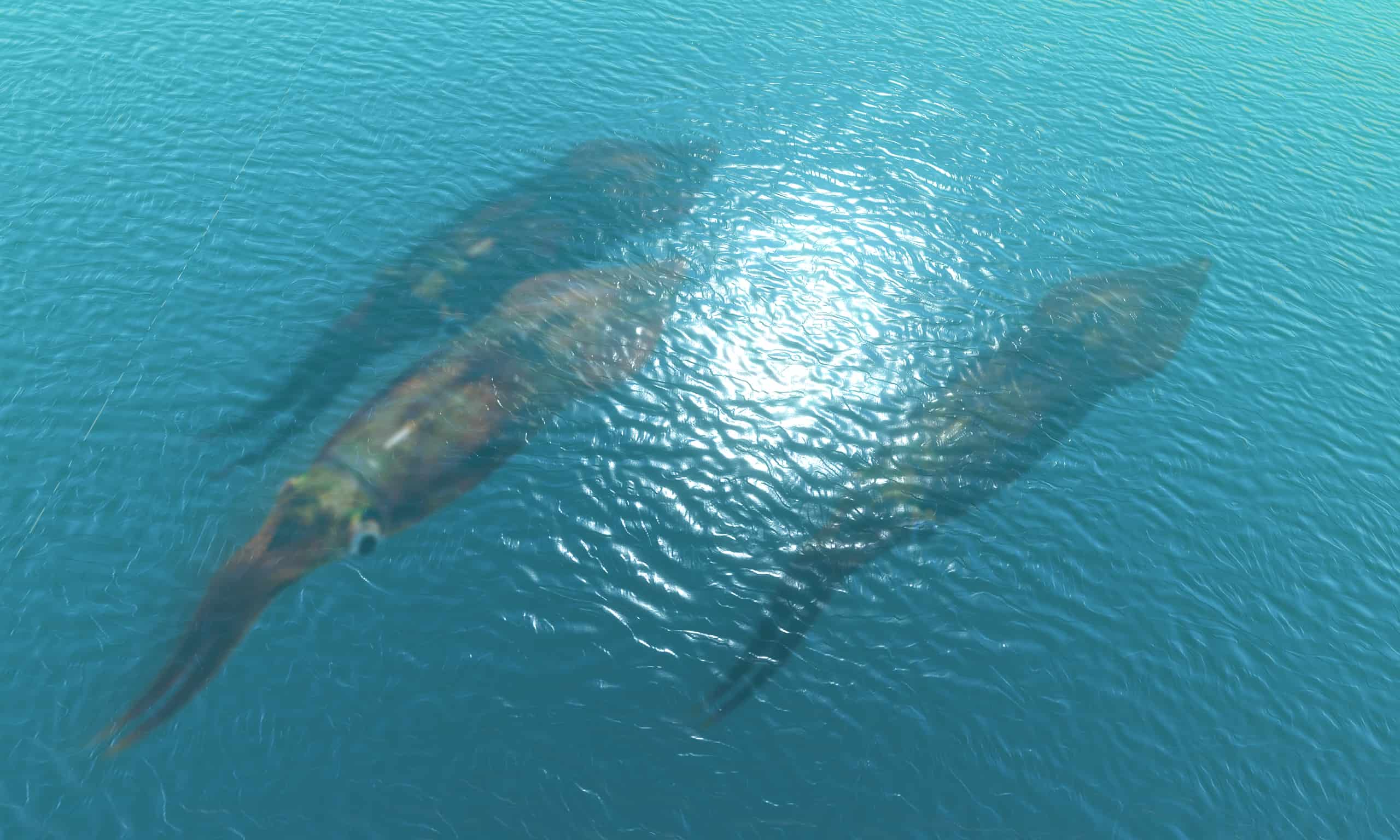 This 33-foot squid was so massive it could have eaten humans