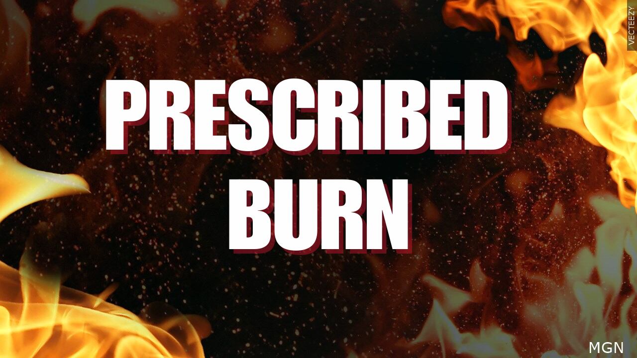 Crews conducting controlled burns at Sunny Point Military Terminal