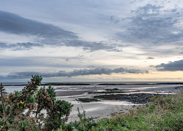 Co Down beach cleaning plan sparks council row over potential spend of ...