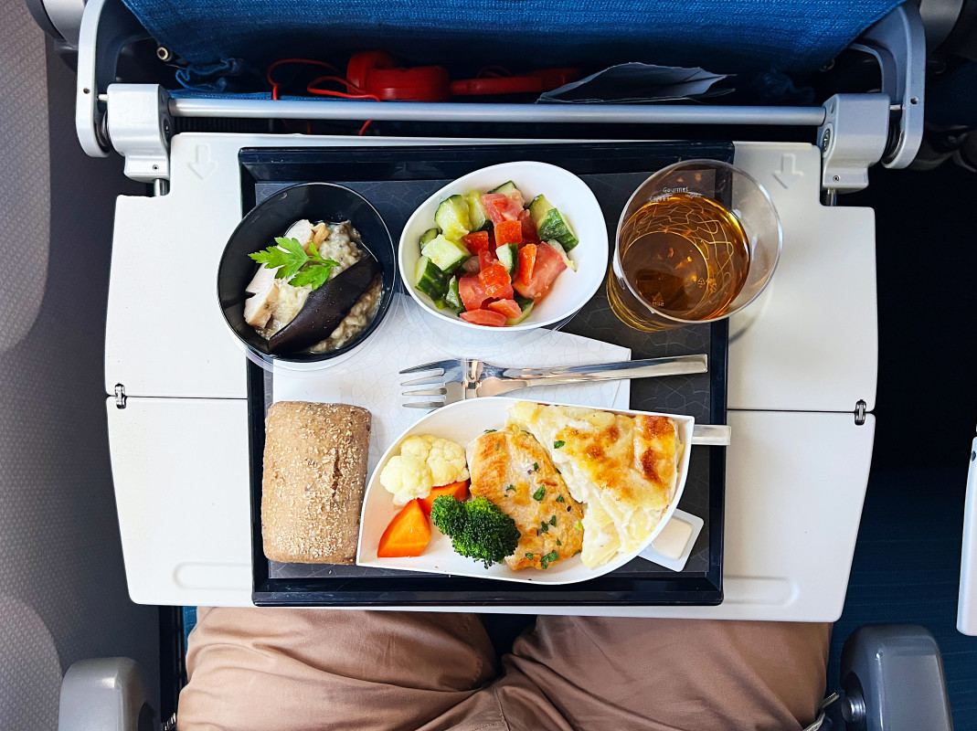 Google scientist pans popular airline's first class meal, and their ...