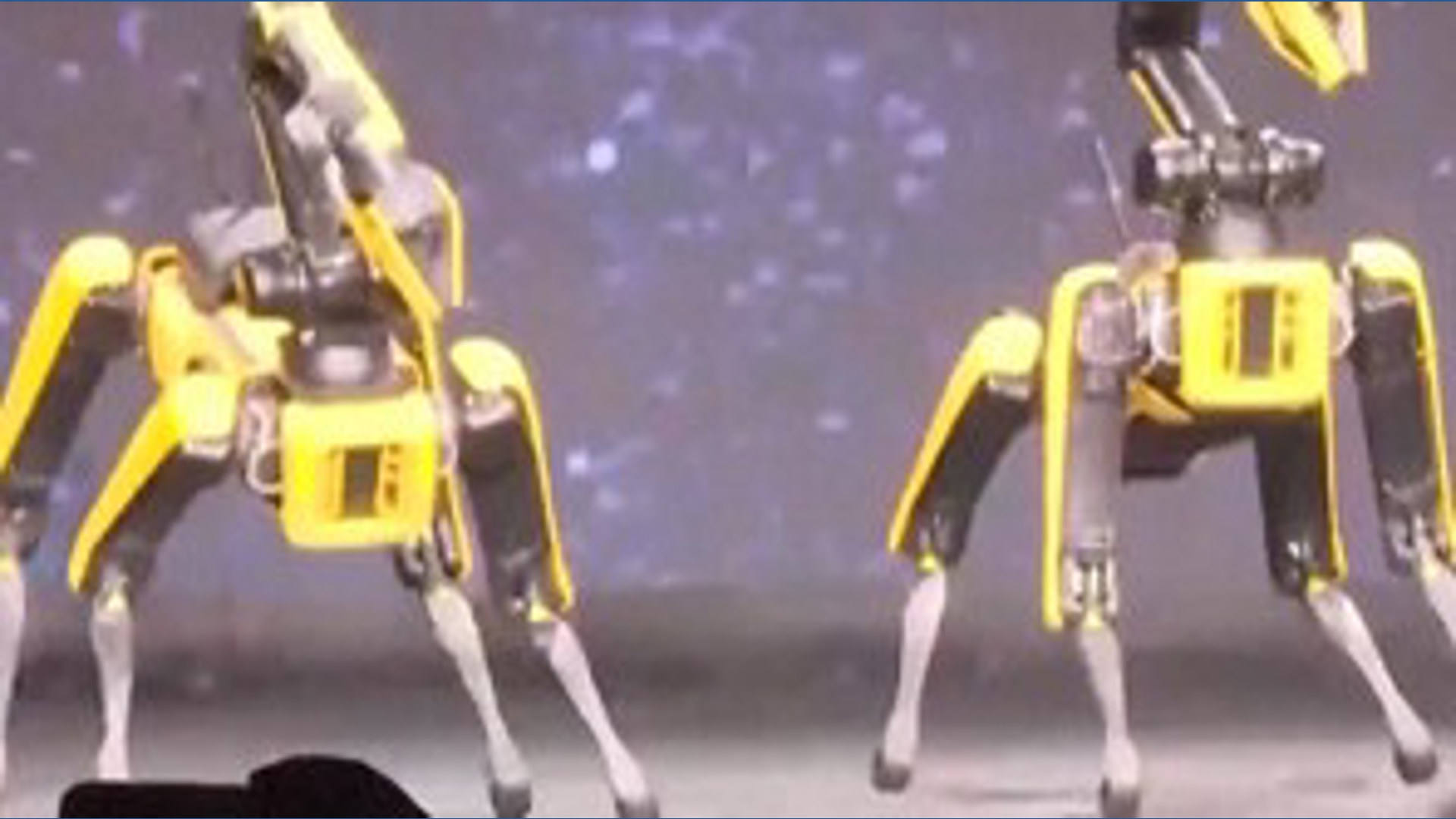 Watch: K-pop dancing robot dogs
