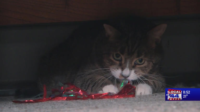 From bashful to bestie: Meet Rocky